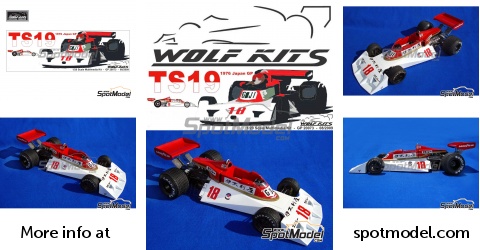 Wolf Kits GP20073: Car scale model kit 1/20 scale - Surtees Ford TS-19 ...