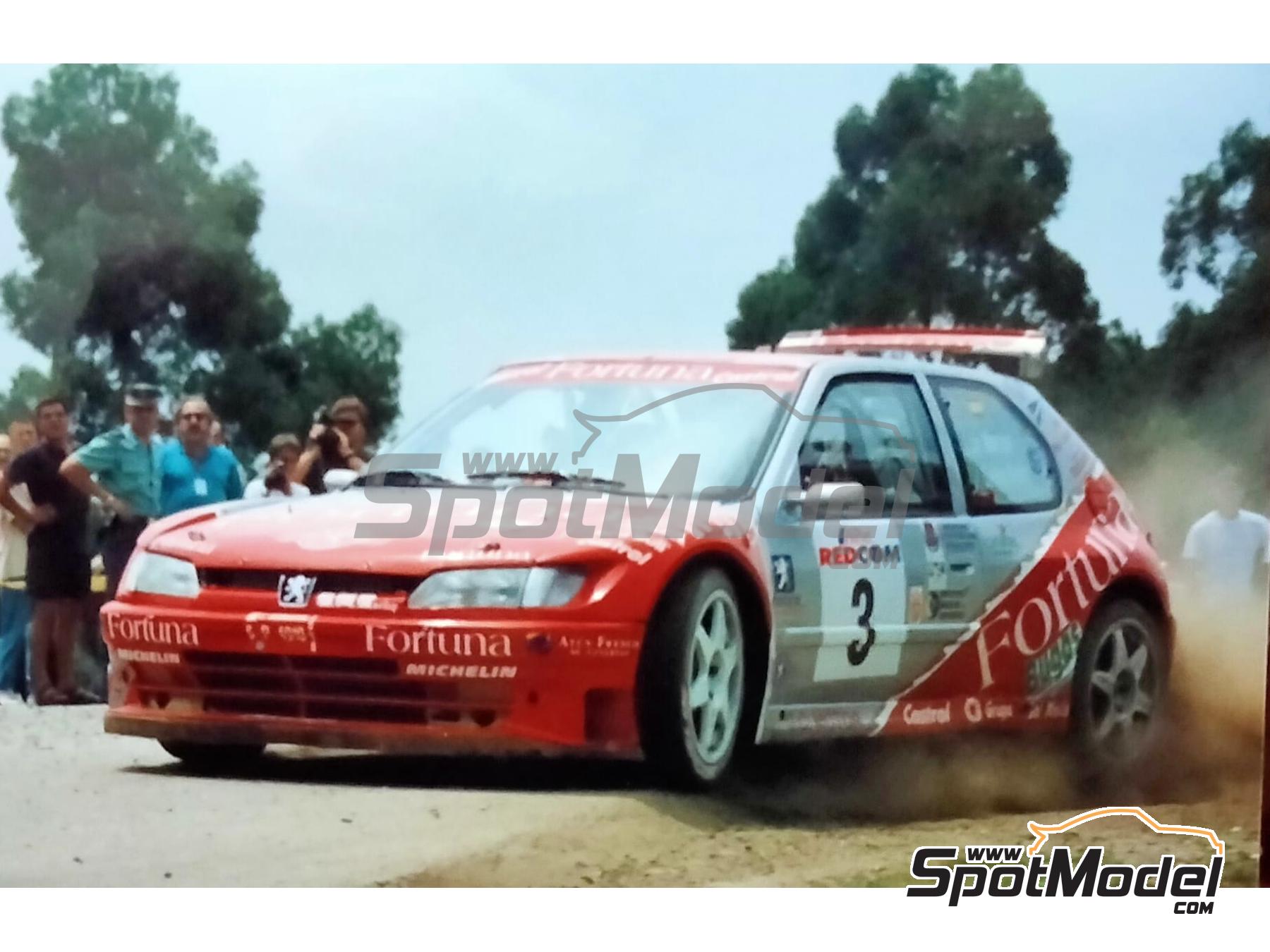 Print Lab Decals PLB2-397721: Marking / livery 1/24 scale - Peugeot 306 ...