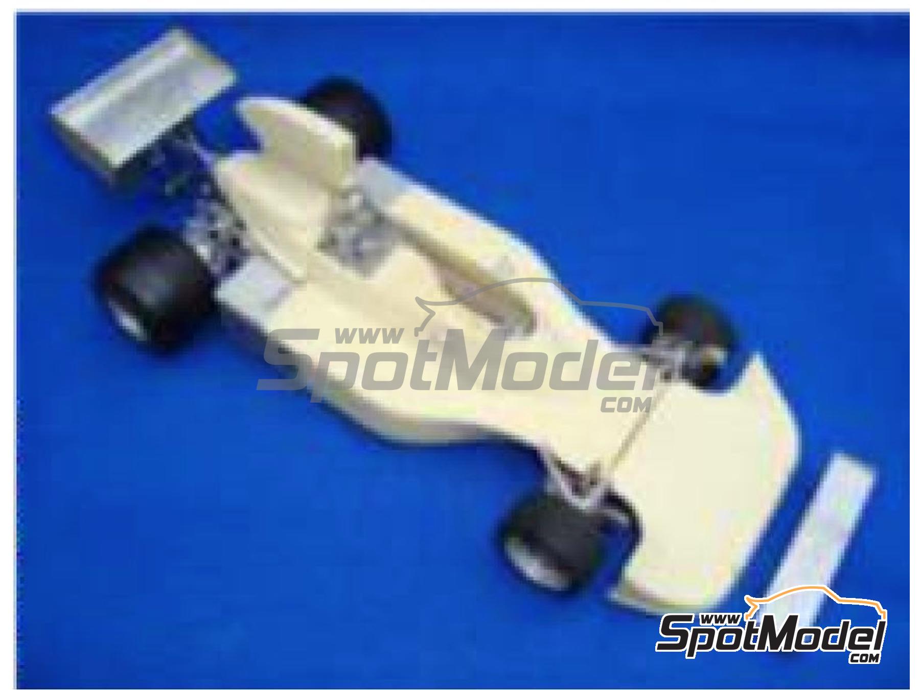 Wolf Kits GP20108: Car scale model kit 1/20 scale - Hesketh Ford 308B ...